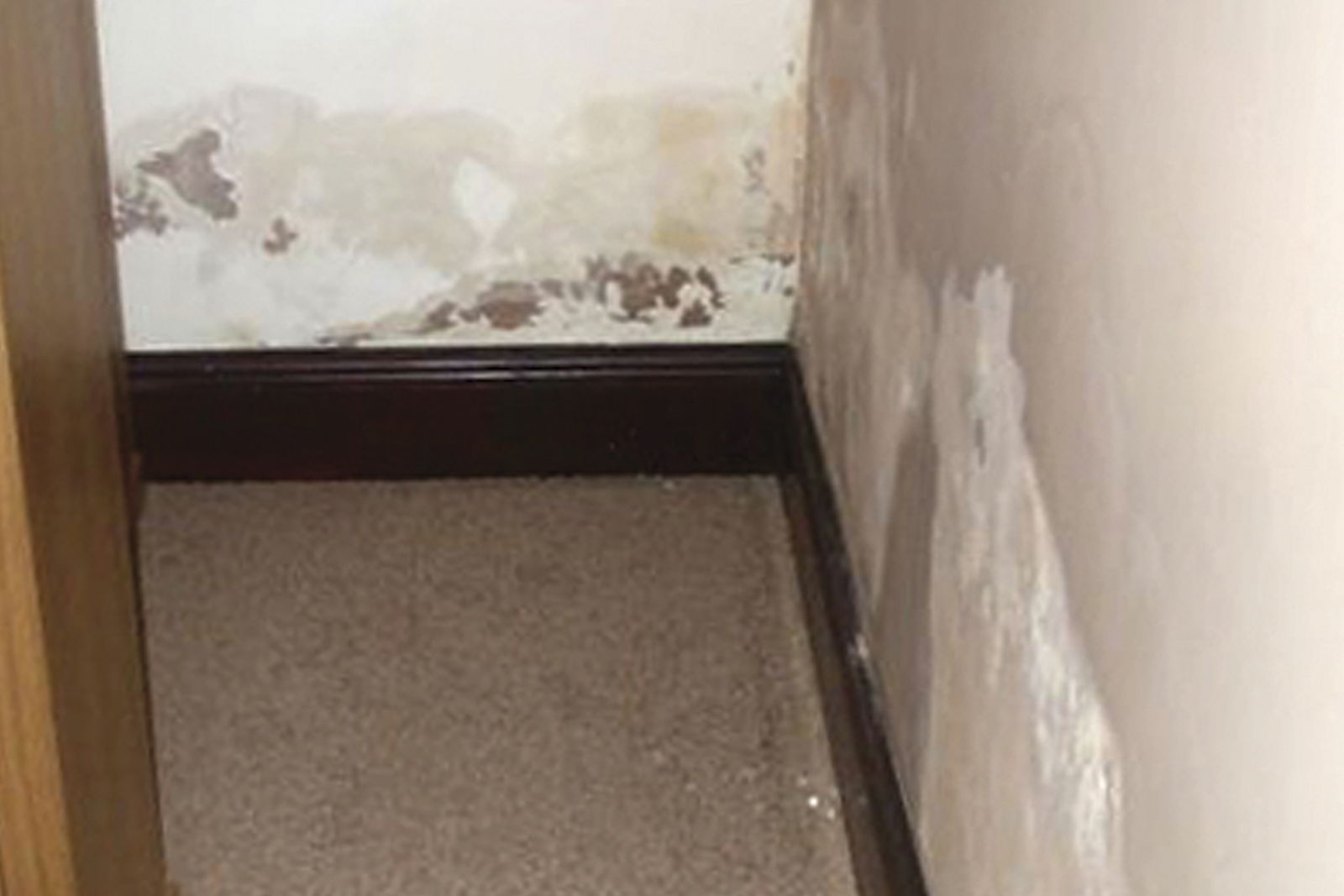 Rising Dampness - Rising Damp & its Control