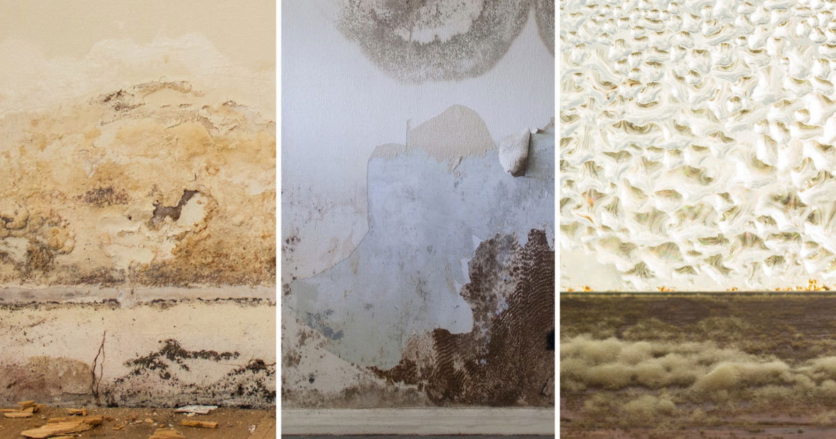 Rising Damp, Penetrating Damp and Condensation