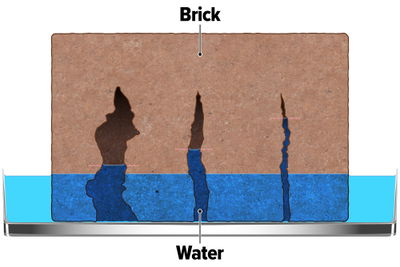 Rising damp signs, causes and treatment