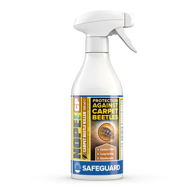 How to Get Rid of Carpet Beetles | Safeguard Europe