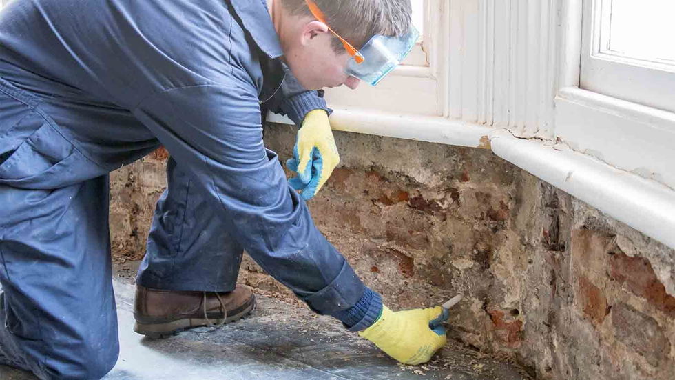 Dryrods and damp-resistant plaster eliminate rising damp | Safeguard Europe