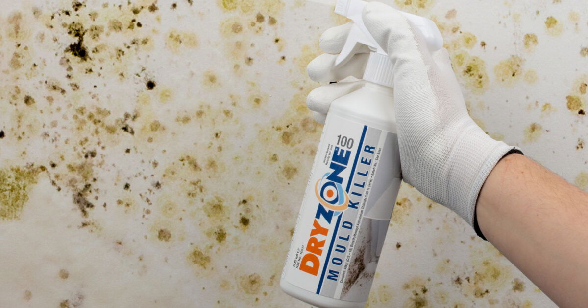 Safeguard Releases Highly Effective Mould Killer Spray