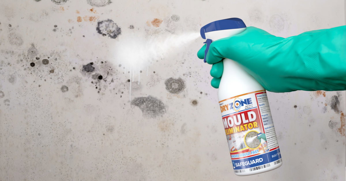 Cleaning Mould the Right Way: 3 Steps for Landlords | Safeguard Europe