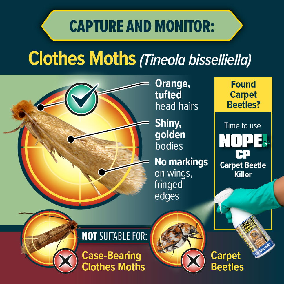 NOPE! Clothes Moth Traps - Moths - Pest Control