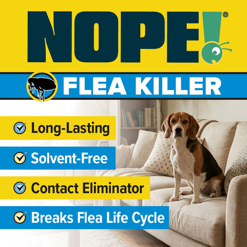 nope flea spray