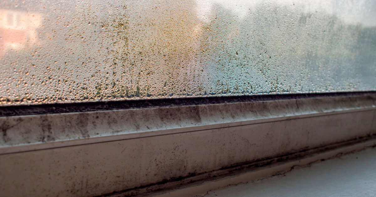 Condensation and Mould in Buildings CPD Webinar | Safeguard Europe