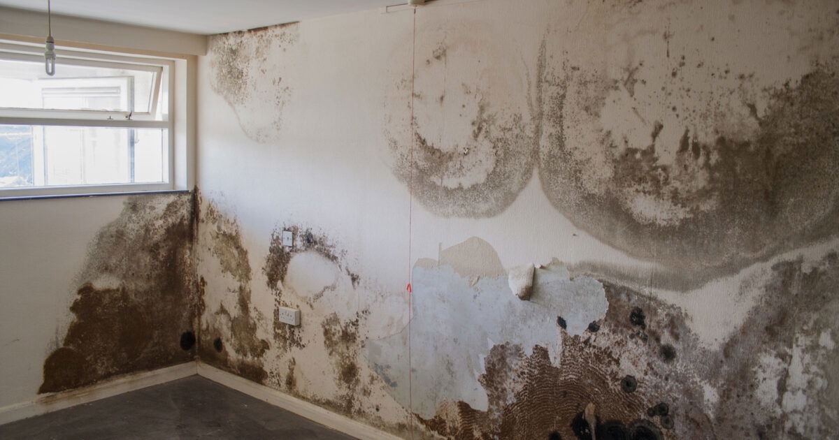 Penetrating Damp: Causes and Treatment | Safeguard Europe